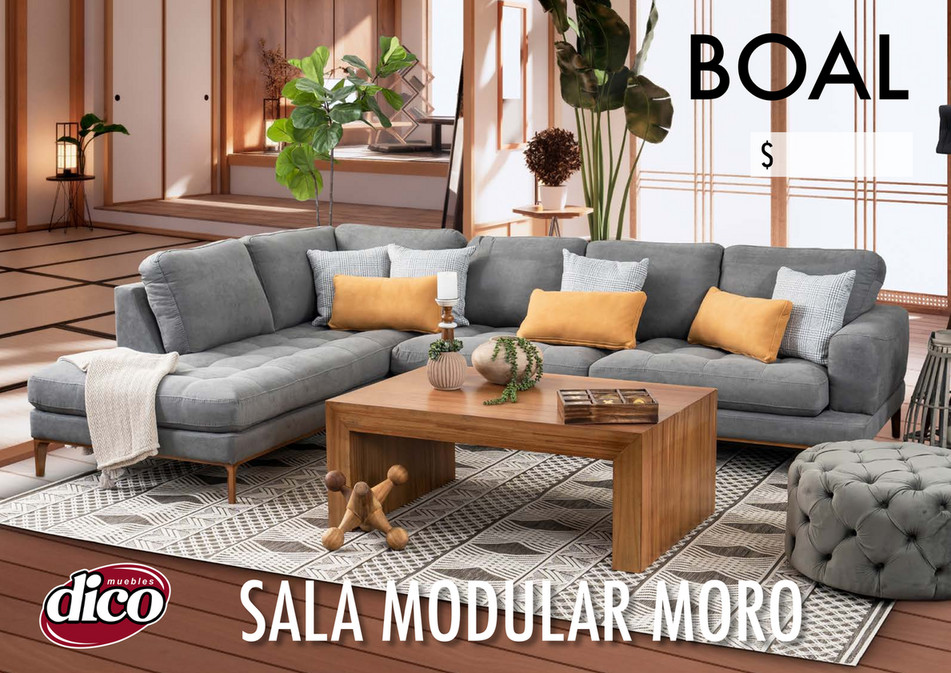 MUEBLES DICO - BOAL | norte| 2023 - Página 16
